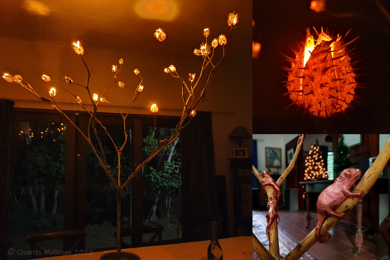 Mini LED ‘Christmas Tree’ – Charles Malleson